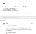 What is Google Cache? Everything You Should Know