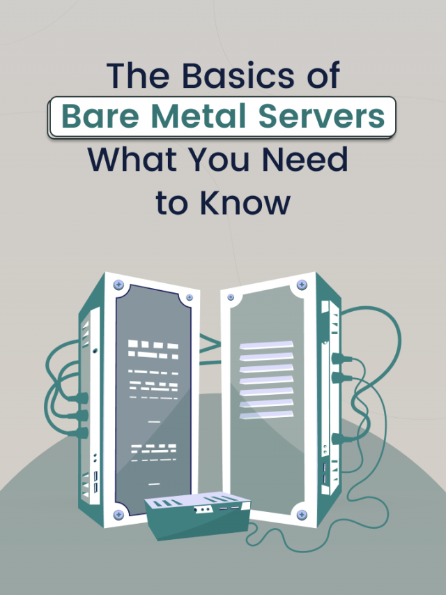 The Basics of Bare Metal Servers: What You Need to Know - Hostingseekers