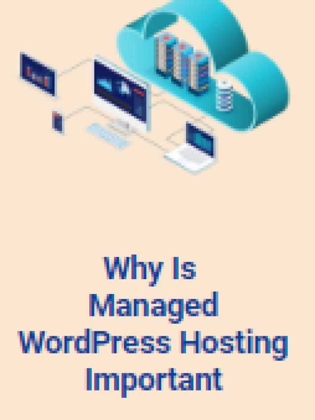 Why Is Managed WordPress Hosting Important - Hostingseekers Why Is Managed WordPress Hosting Important - Hostingseekers