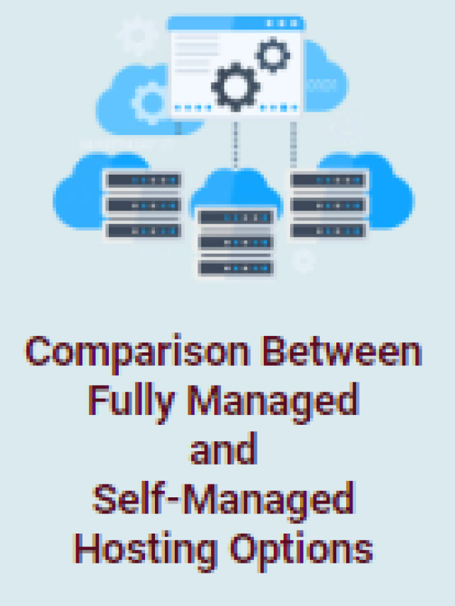 Comparison Between Fully Managed and Self-Managed Hosting Options - Hostingseekers