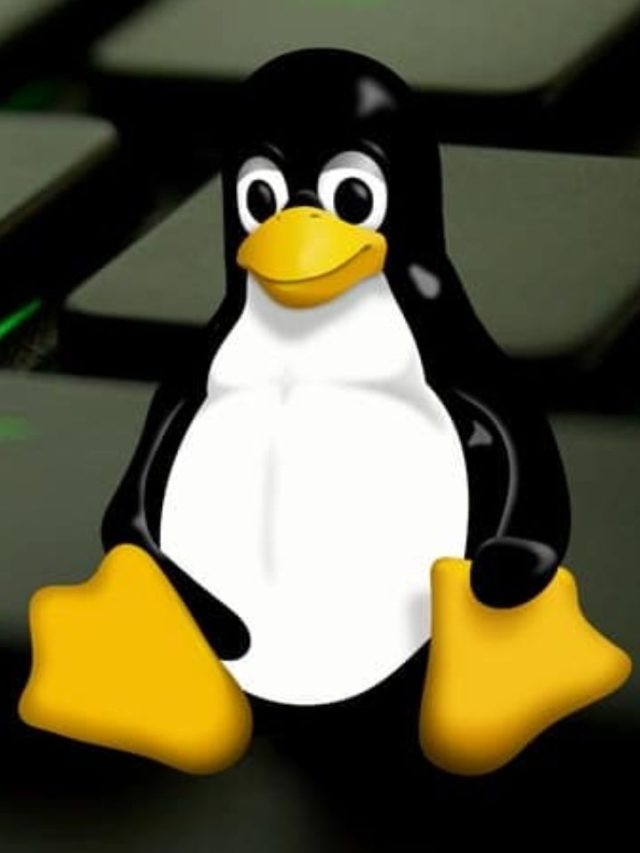 What Is A Linux Shell Learn Why It Is Important Hostingseekers
