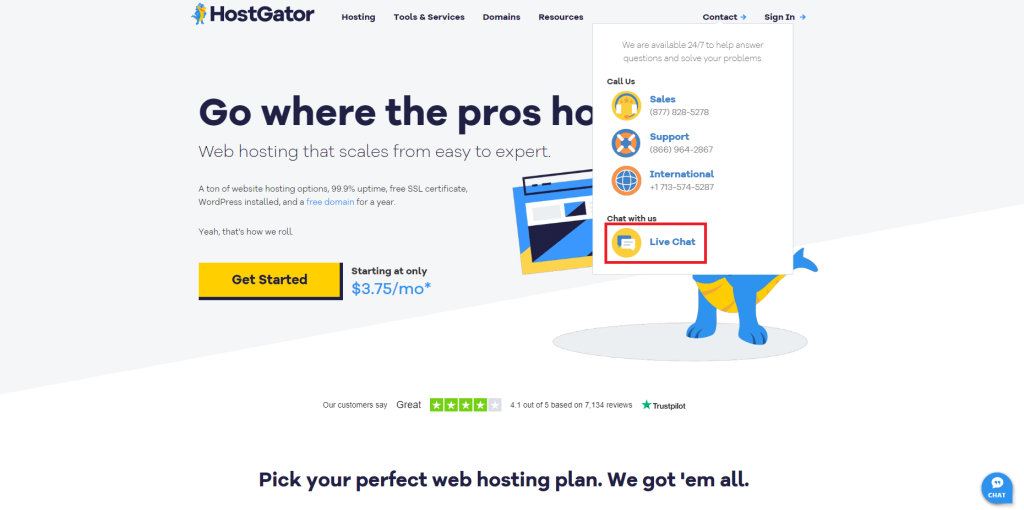 HostGator Customer Service 2026: Ways to Contact HostGator