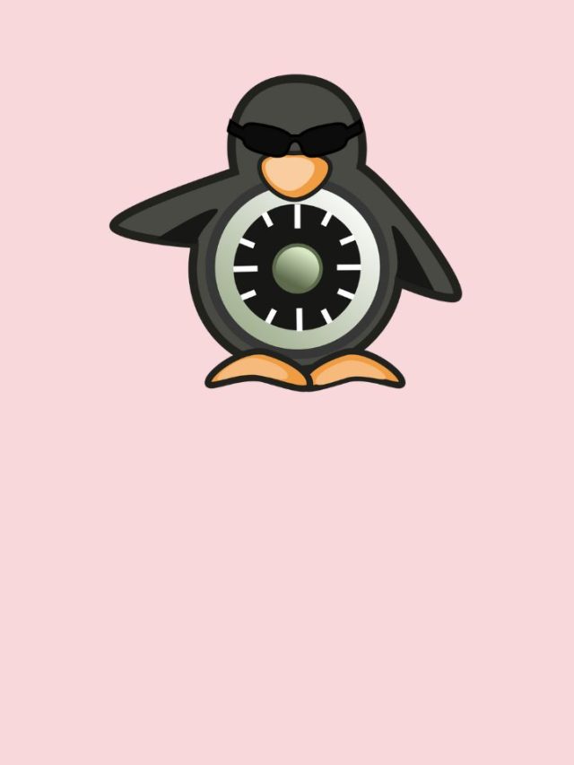Selinux Vs Linux Exploring Security Differences Hostingseekers