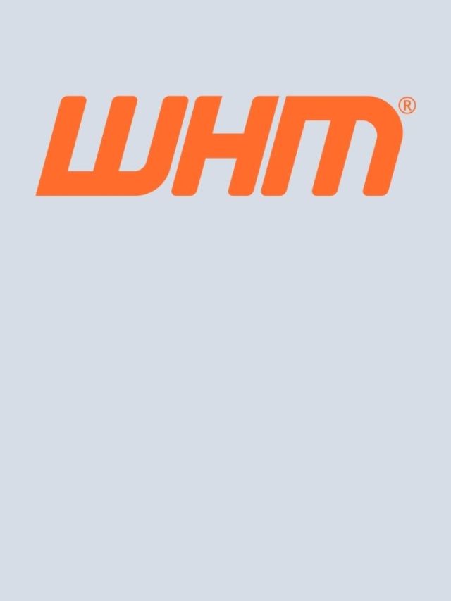 What is WHM? Top Reasons to Use It for Your Hosting Needs - Hostingseekers