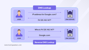 DNS Lookup Explained: How It Works + Best Tools & Commands