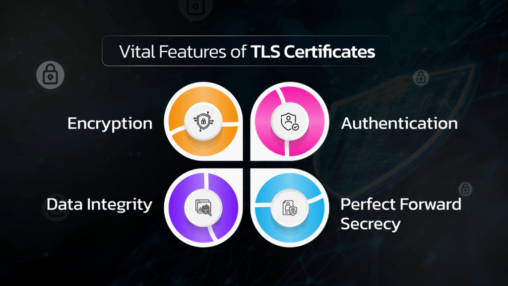 TLS vs SSL: Which Is the Right Choice for You?